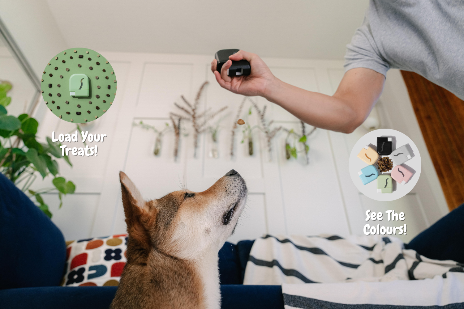 Tails Designs | The EZ Treat – tailsdesigns